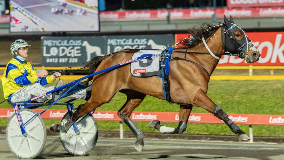 Harness racing: Kiwi driver plans to cut loose in Inter Dominion ...