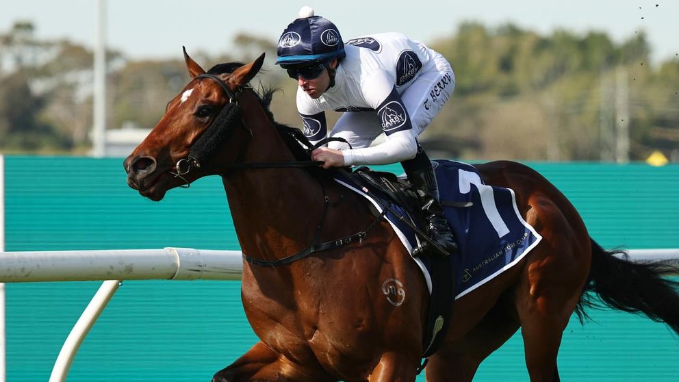 2025 San Domenico Stakes: Star colts face winter wonder
