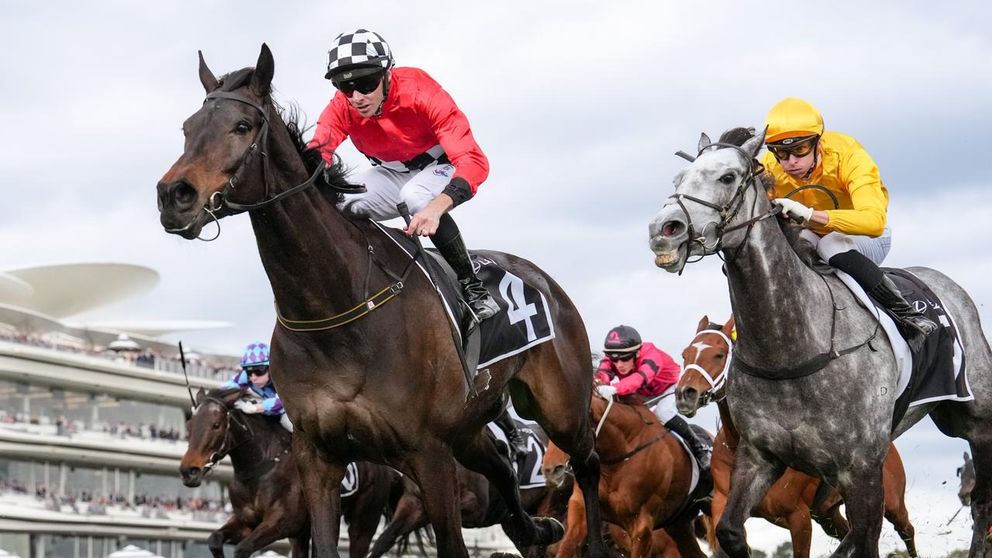 ‘All due to Lloyd': Revelare gives ‘lucky' trainer shot at third Cup ...