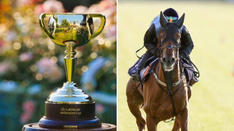 2025 Melbourne Cup Field