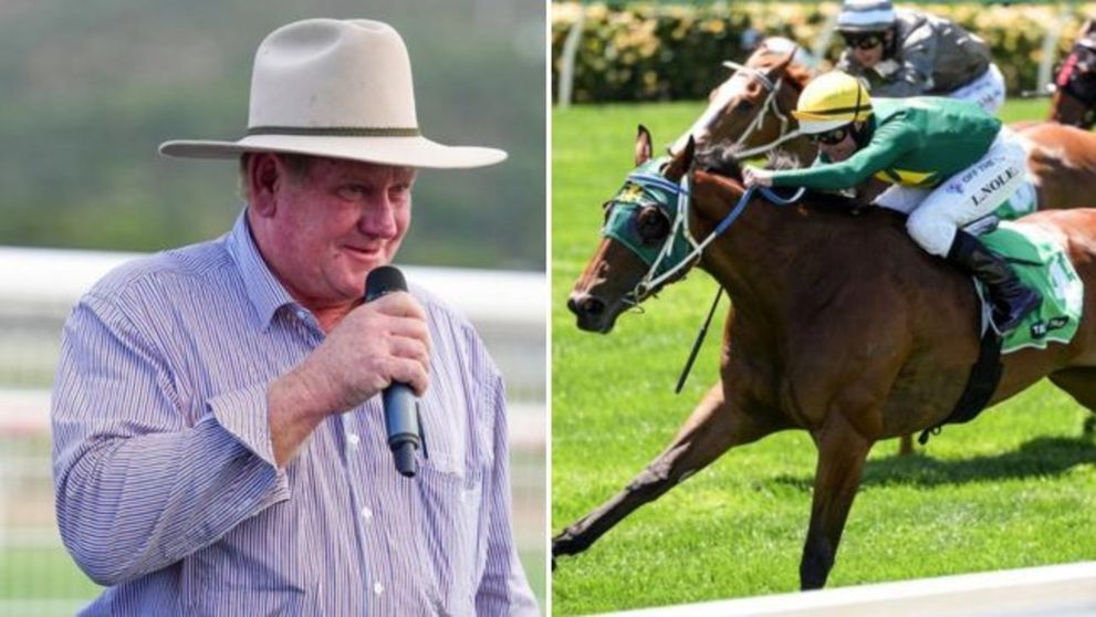 Larrikin Queensland grazier and his $10k bargain Sheza Alibi target ...
