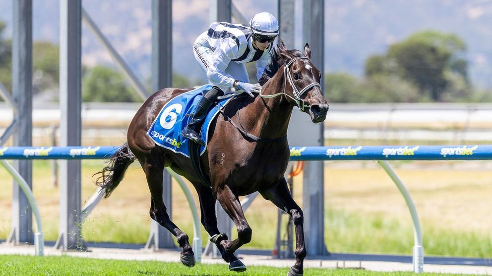 Boom Babe impresses again at Morphettville - Racenet