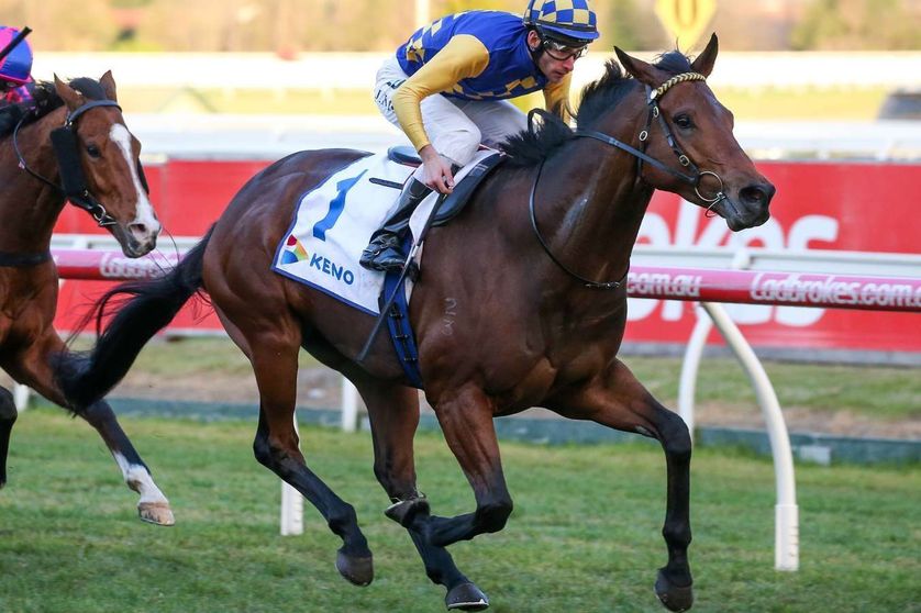 Jamie Mott brings up century of wins for season