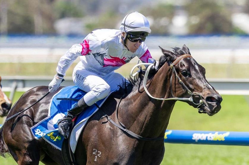 Chris Bieg prepares talented Royal Majesty for Sportsbet Rebel Raider ...