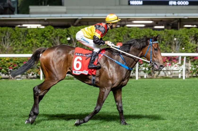 Gold Cup an option for Zebrowski after G3 Centenary Vase triumph