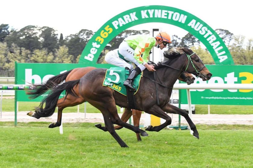 Kyneton preview and tips for Thursday: $18 value bet