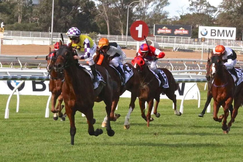 Sacred Elixirs Guineas draw perfect: Pike