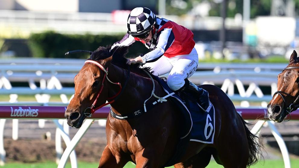 Alysha Collett seeks Rachel King's advice for The Inflictor