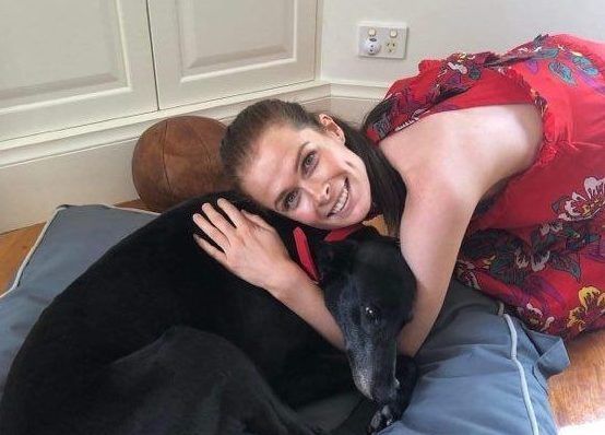 Born Ali Leaves Behind Ever Lasting Legacy - Greyhound Recorder