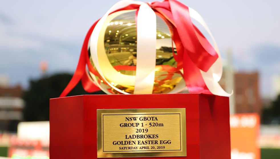 Wheeler Kennels To Sponsor Golden Easter Egg - Greyhound Recorder