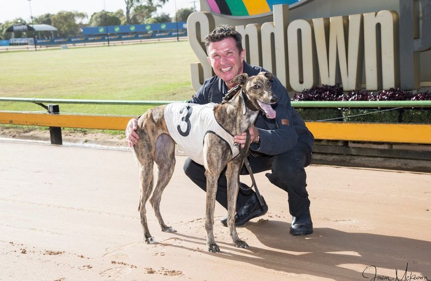 Moore Ready To Give Launching Pad A ‘Shake' - Greyhound Recorder