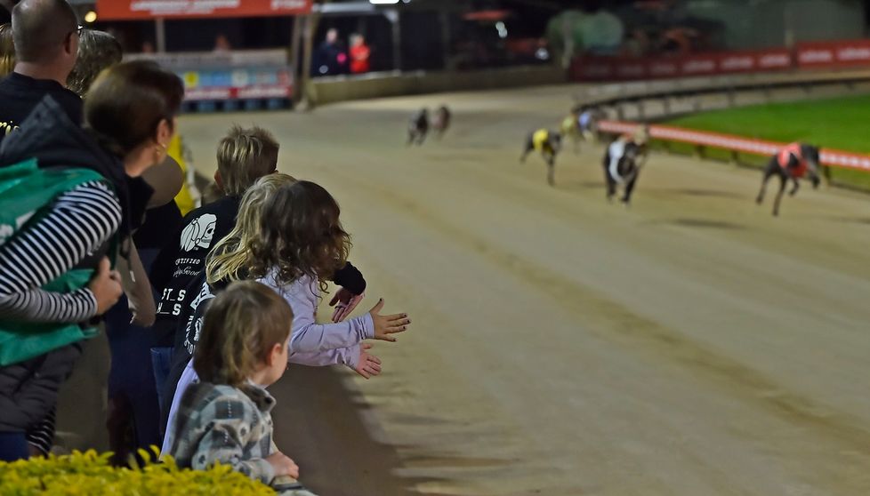 Tips For Dubbo, The Gardens & Wentworth Park - Greyhound Recorder