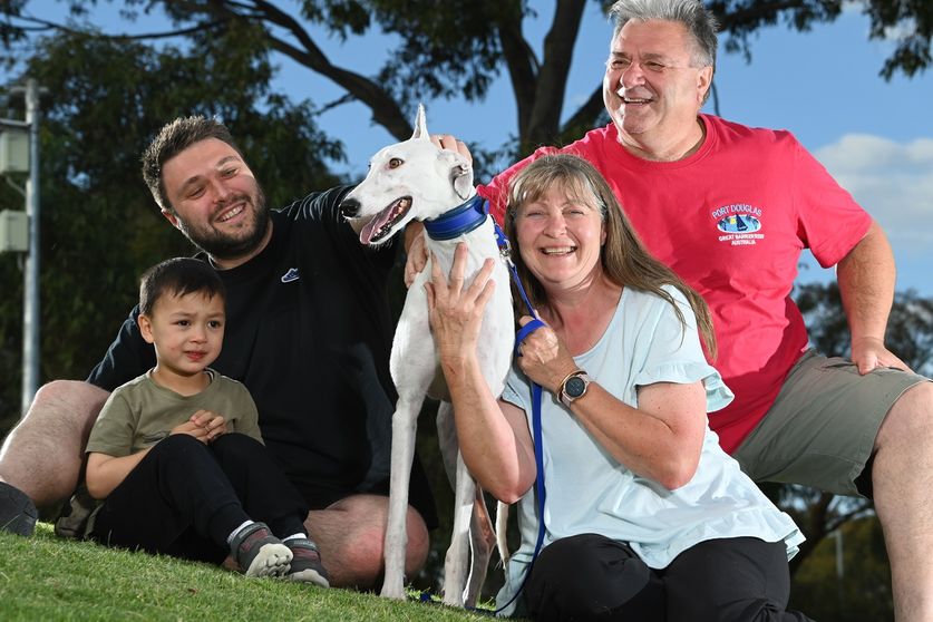 Without A Trace Worth The Wait For Presutto - Greyhound Recorder