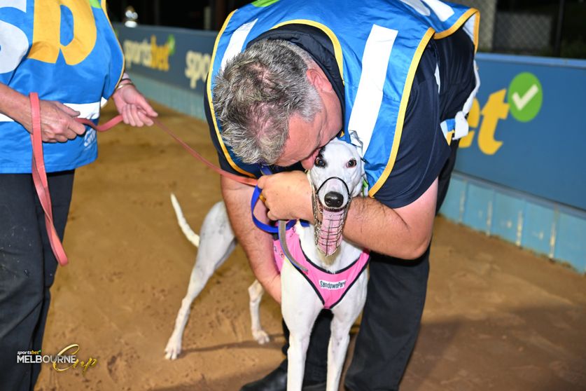 Presutto 'Looking Forward' To Sale Cup Heats - Greyhound Recorder