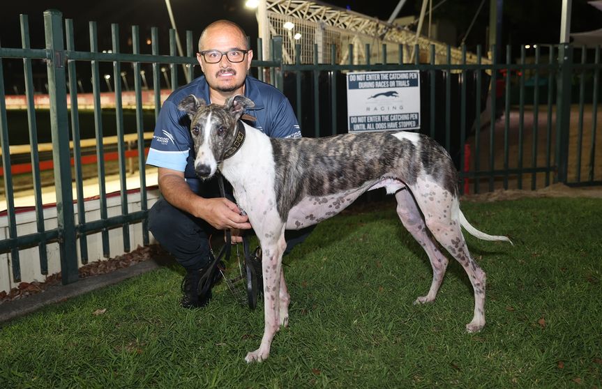 Gatt Taking Two 'Live Chances' Into Derby Final - Greyhound Recorder