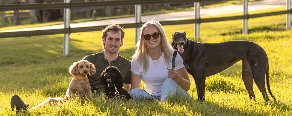 Schiller's Greyhound Ride Ramps Up In Robert Smith - Greyhound Recorder