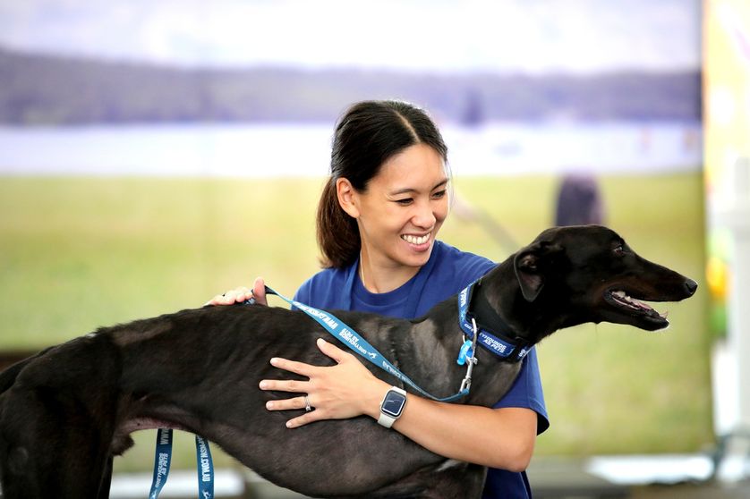 GRNSW Unveils Jetpets As New Travel Partner - Greyhound Recorder
