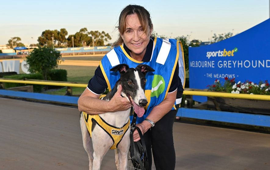 Vodka And Ice Ready To Write His Own 'News' - Greyhound Recorder
