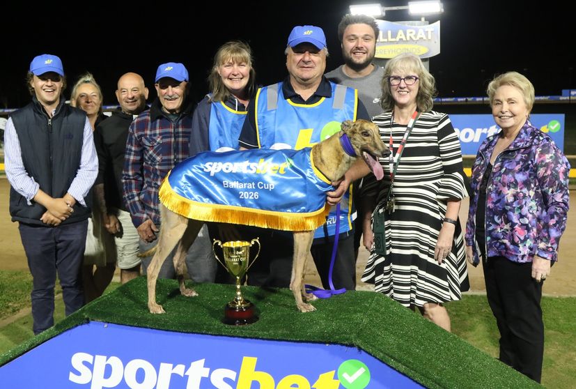 Presutto Charts Path To Ballarat Cup Glory - Greyhound Recorder