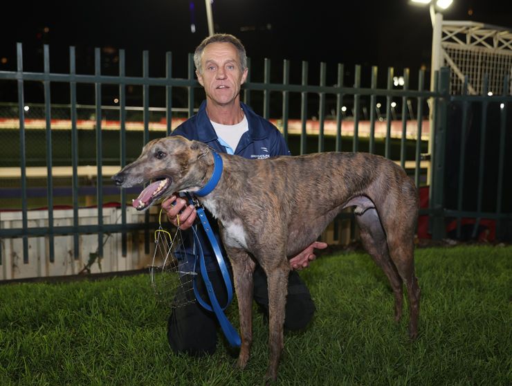Tawn Allegiances For Rowe In Easter Egg Semis - Greyhound Recorder