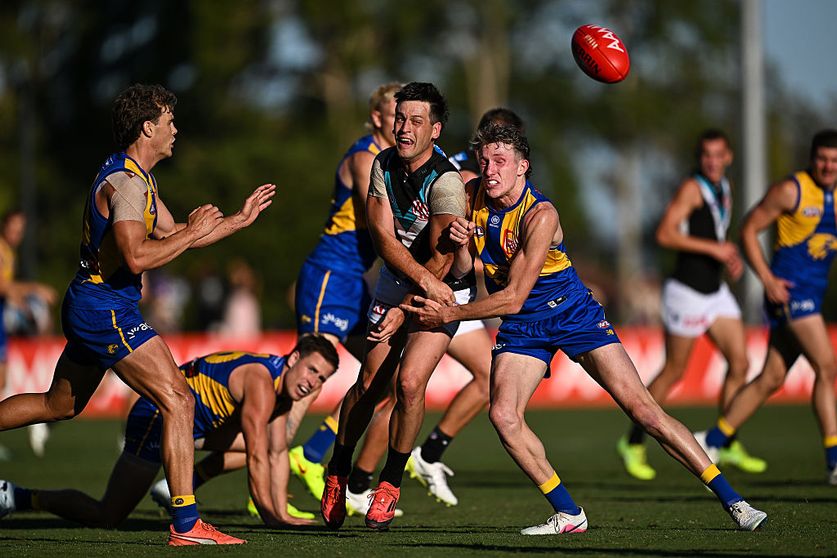Melbourne vs St Kilda Prediction & Odds - AFL Round 1 2026 - Odds