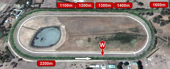 Hamilton Racecourse - Form Guide, Track Map, Tips & Results