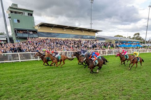 Swan Hill Cup 2026 Tips, Betting & Results - Racenet