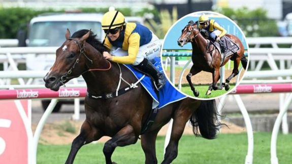 Warwoven owner tips ‘Storm Boy clone' to win Magic Millions