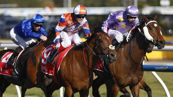 Star mare Bellatrix Star plots comeback after surgery