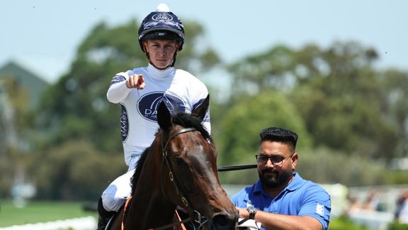 Reinvigorated Gibbons targets Rosehill fill-up