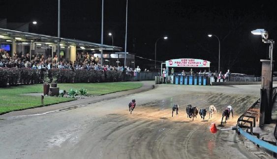 Sliding Doors Greyhound - Form, Stats & News