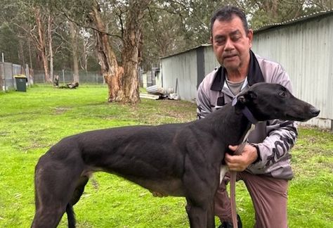 Charlie's Pirate Boxed To Steal Kempsey Cup Loot - Greyhound Recorder