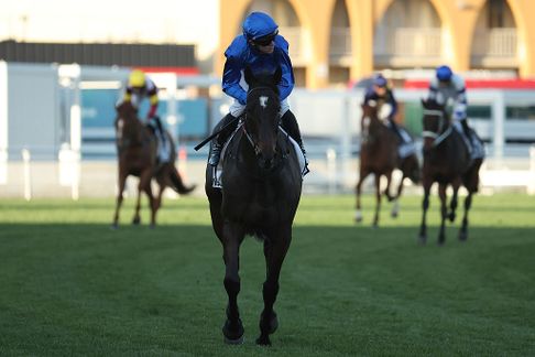 2025 Epsom Handicap Field - Odds