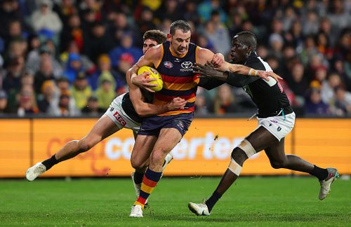 Adelaide vs Port Adelaide Prediction & Odds - AFL Round 8 2026 - Odds