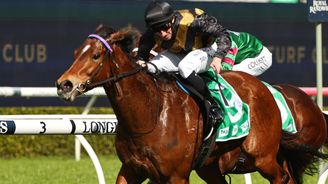 Broome Racecourse - Form Guide, Track Map, Tips & Results