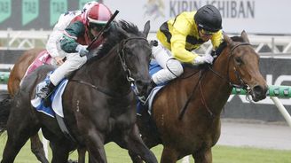 Broome Cup 2026 Tips, Betting & Results - Racenet