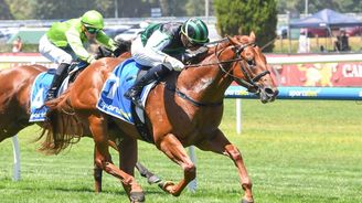 Wangaratta Racecourse - Form Guide, Track Map & Results