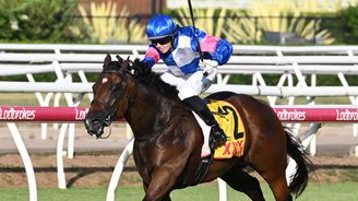 Doomben Racecourse - Form Guide, Track Map, Tips & Results