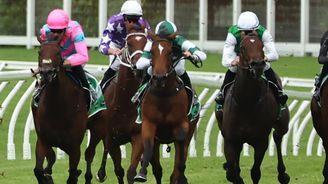 Pinjarra Racecourse - Form Guide, Track Map, Tips & Results