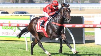 Ellerslie Racecourse - Form Guide, Track Map, Tips & Results