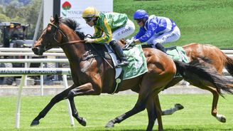Wyong Racecourse - Form Guide, Track Map, Tips & Results