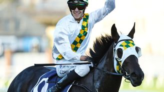 Taree Racecourse - Form Guide, Track Map, Tips & Results