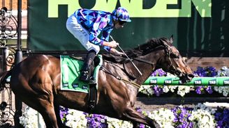 Terang Racecourse - Form Guide, Track Map, Tips & Results