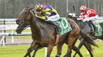 Wyong Racecourse - Form Guide, Track Map, Tips & Results