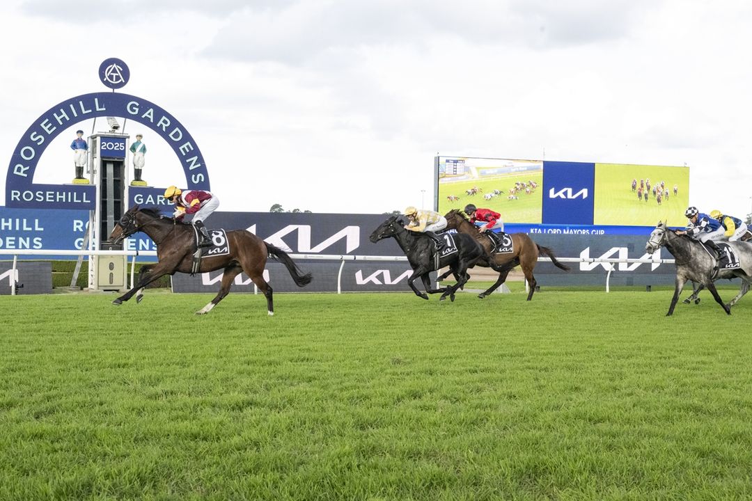 2026 Albury Gold Cup Field
