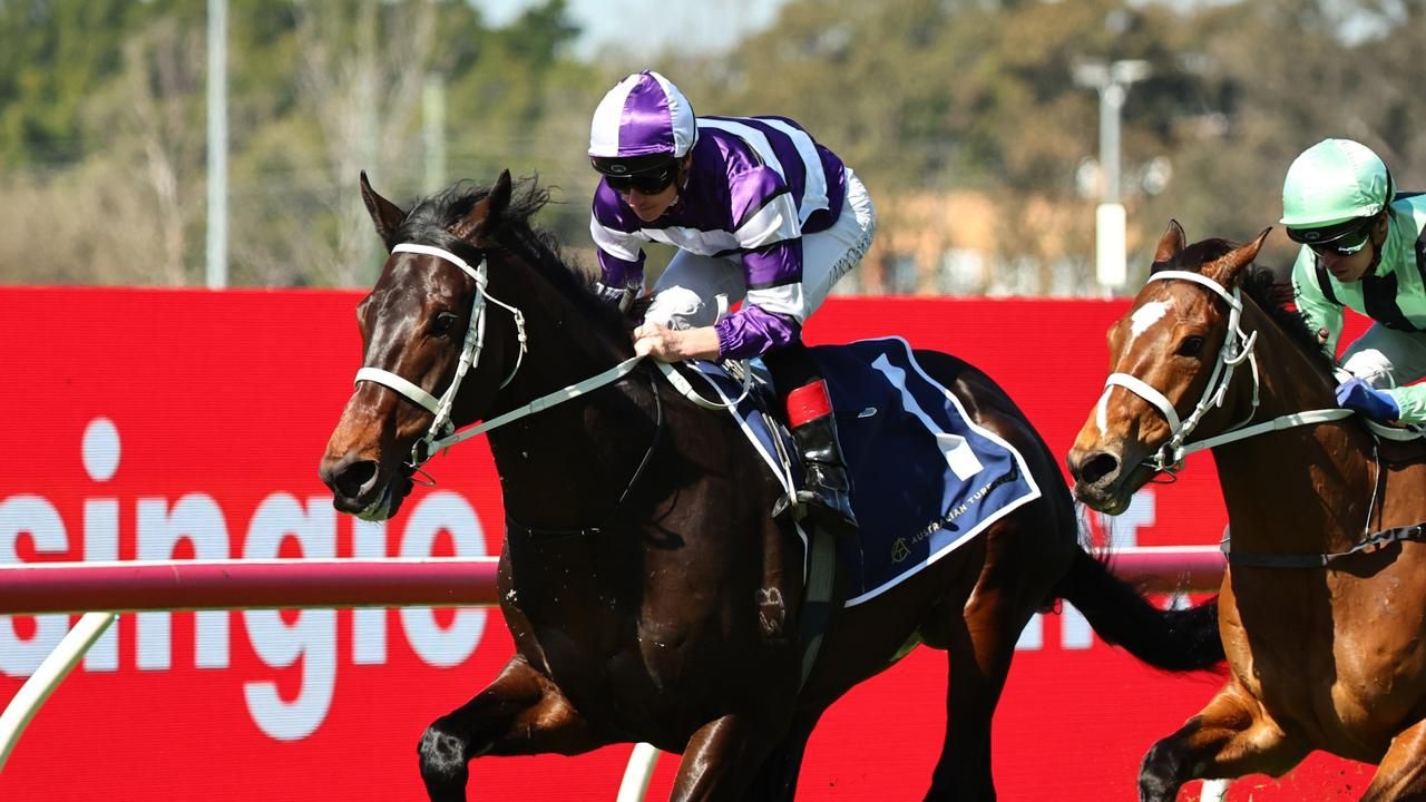 Lindermann, Fangirl stirs memories of champions Lonhro and Winx