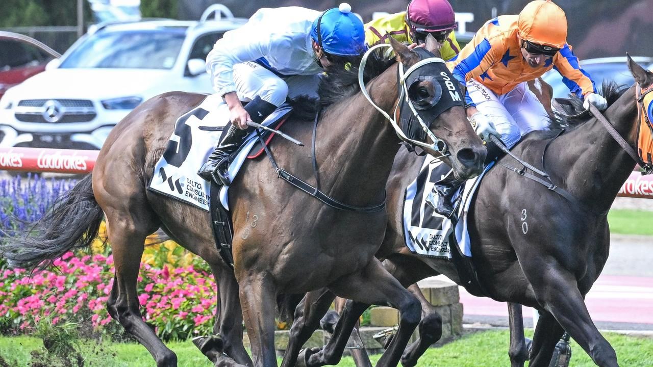 Final field, barrier draw for $1 million Group 1 SA Derby