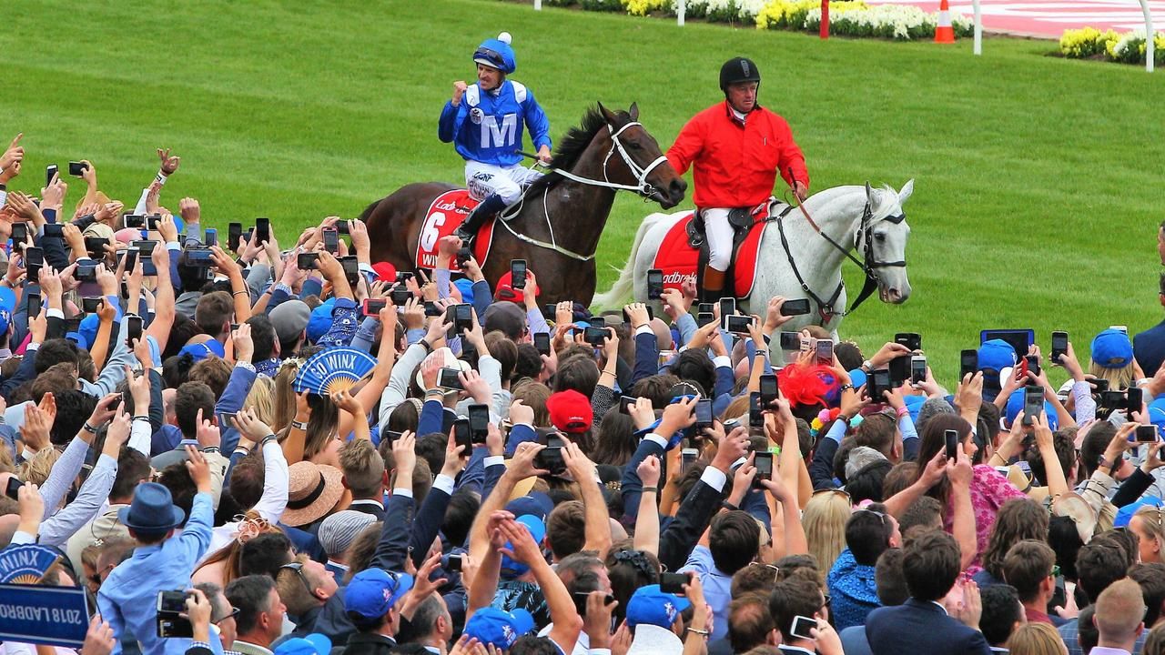 Red carpet rolled out for Winx movie premiere on Friday