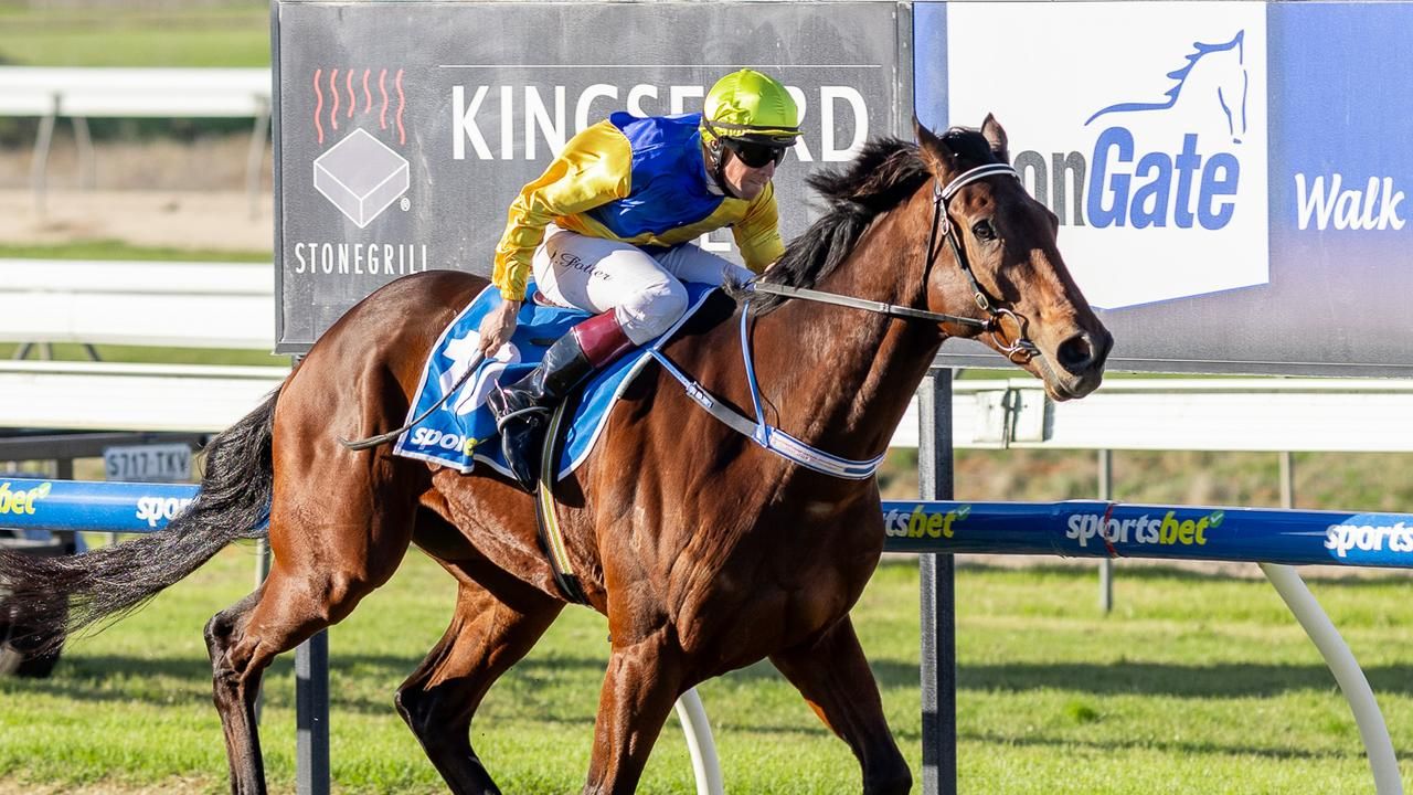 $81 longshot Badiss smashes rivals by eight lengths at Gawler