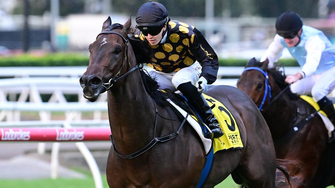 2024 Aurie's Star Handicap: Zarastro owners' punt pays off